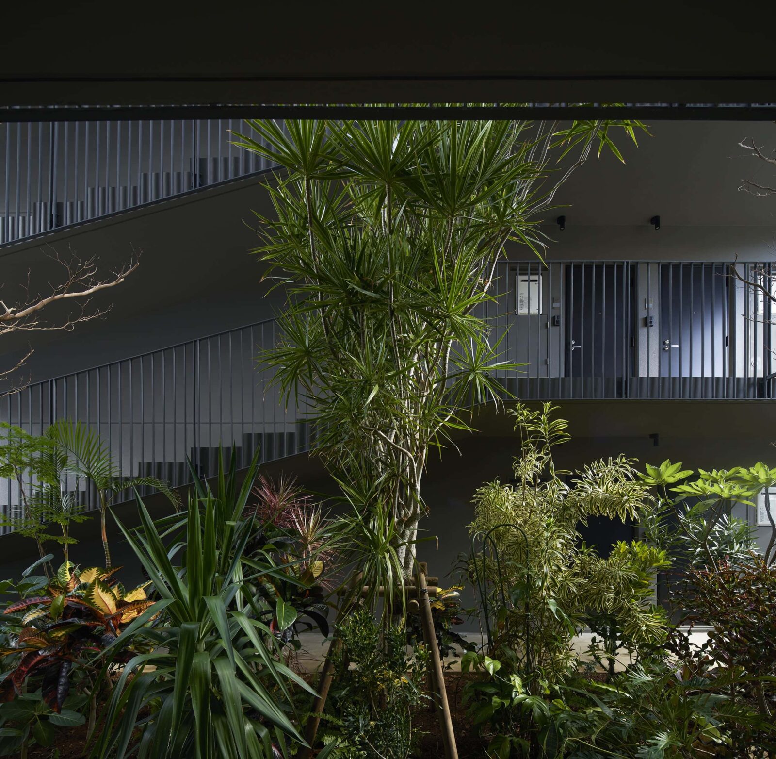 N apartment / 川嶋洋平建築設計事務所 - TECTURE MAG（テクチャーマガジン） | 空間デザイン・建築メディア