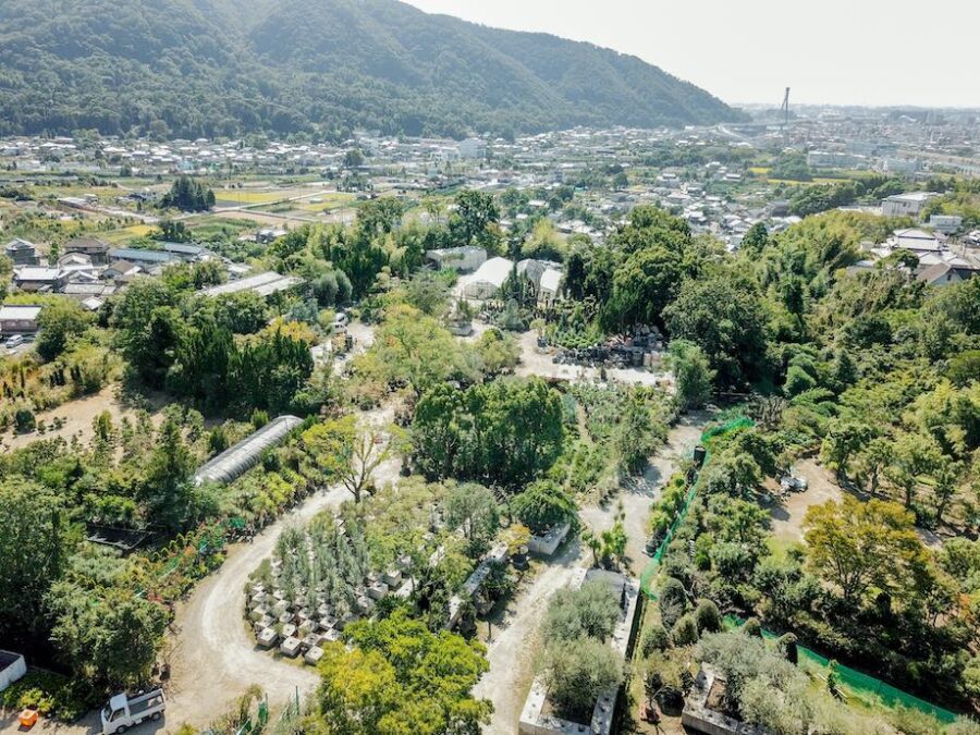 COCON KARASUMA（古今烏丸）にアクタス初のグリーン専門店〈ノードリウム・京都〉が9/16オープン - TECTURE MAG（テクチャーマガジン） | 空間デザイン・建築メディア