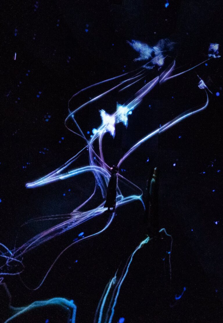 チームラボ最大規模のミュージアム〈teamLab Massless Beijing〉が北京にオープン、1万平米、高さ11メートルの大空間で新作 ...