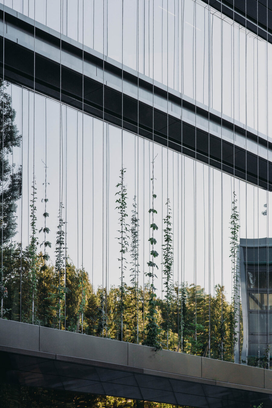 多様な活動をサポートする学部間教育棟 | UNStudioによる これからのキャンパスモデルを示すデルフト工科大学の教育施設〈エコー〉オランダ - TECTURE MAG（テクチャーマガジン ...