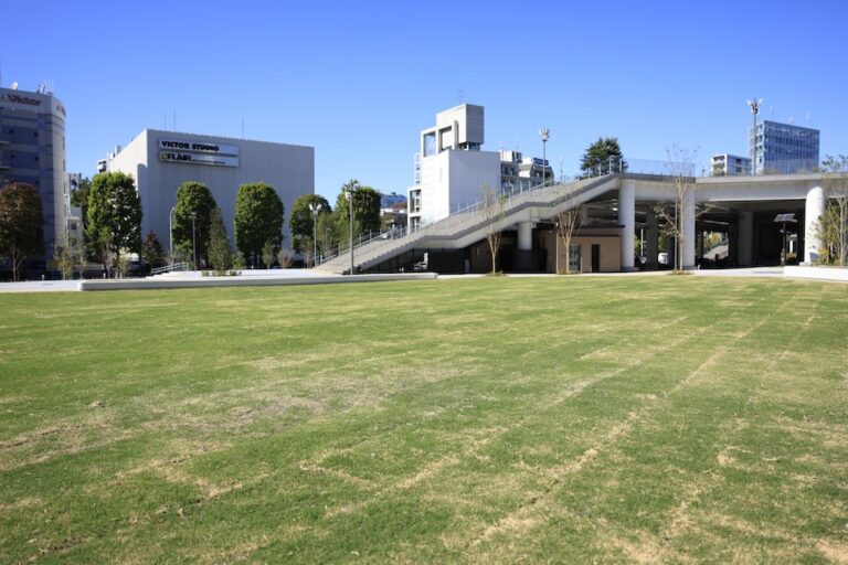 都立公園初のPark-PFI（公募設置管理制度）による整備事業で明治公園が一部開園、最大約7.8mの高低差を生かしたランドスケープを創出 - TECTURE MAG（テクチャーマガジン ...