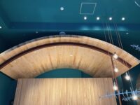 成瀬・猪熊建築設計事務所が手がけた〈meet tree GINZA〉が銀座にオープン！ 中津川産檜の角材で組んだ2つのヴォールトの下で特選スイーツとサステナブルコスメを展開[内覧会レポート ...