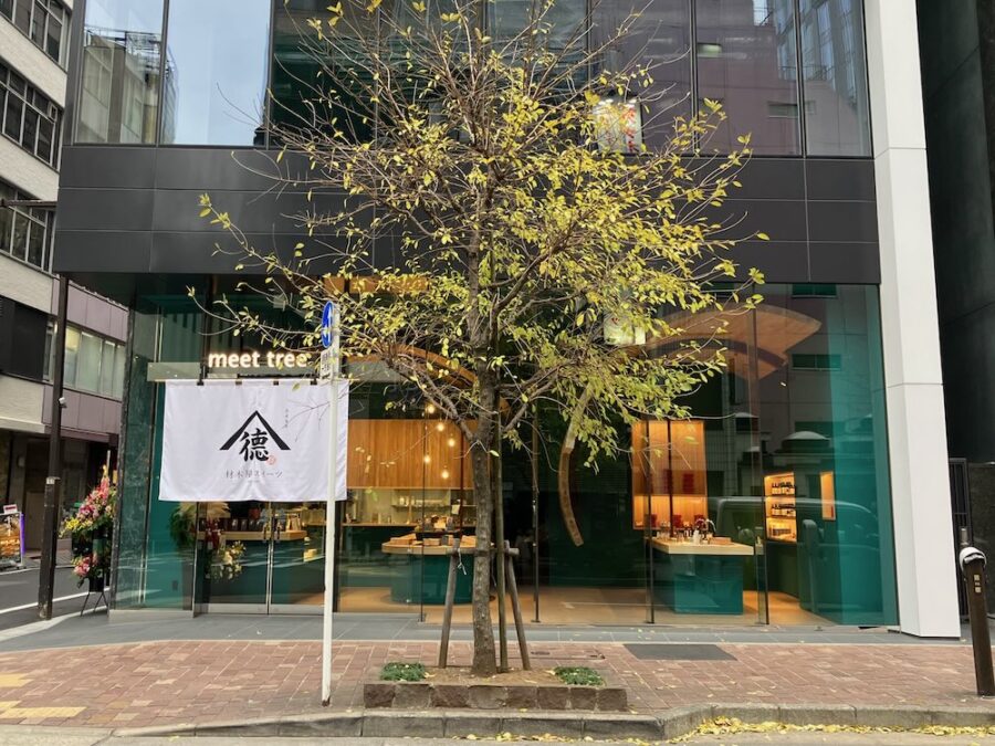 成瀬・猪熊建築設計事務所が手がけた〈meet tree GINZA〉が銀座にオープン！ 中津川産檜の角材で組んだ2つのヴォールトの下で特選スイーツとサステナブルコスメを展開[内覧会レポート ...