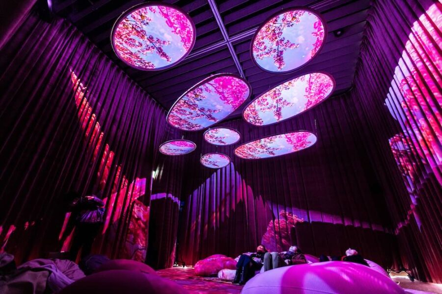 「TOKYO NODE」開館記念企画第2弾「蜷川実花展 Eternity in a Moment 瞬きの中の永遠」会場レポート - TECTURE MAG（テクチャーマガジン） | 空間 ...