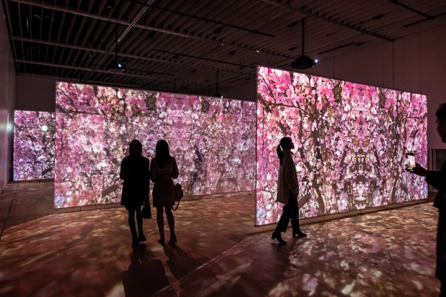 「TOKYO NODE」開館記念企画第2弾「蜷川実花展 Eternity in a Moment 瞬きの中の永遠」会場レポート - TECTURE MAG（テクチャーマガジン） | 空間 ...