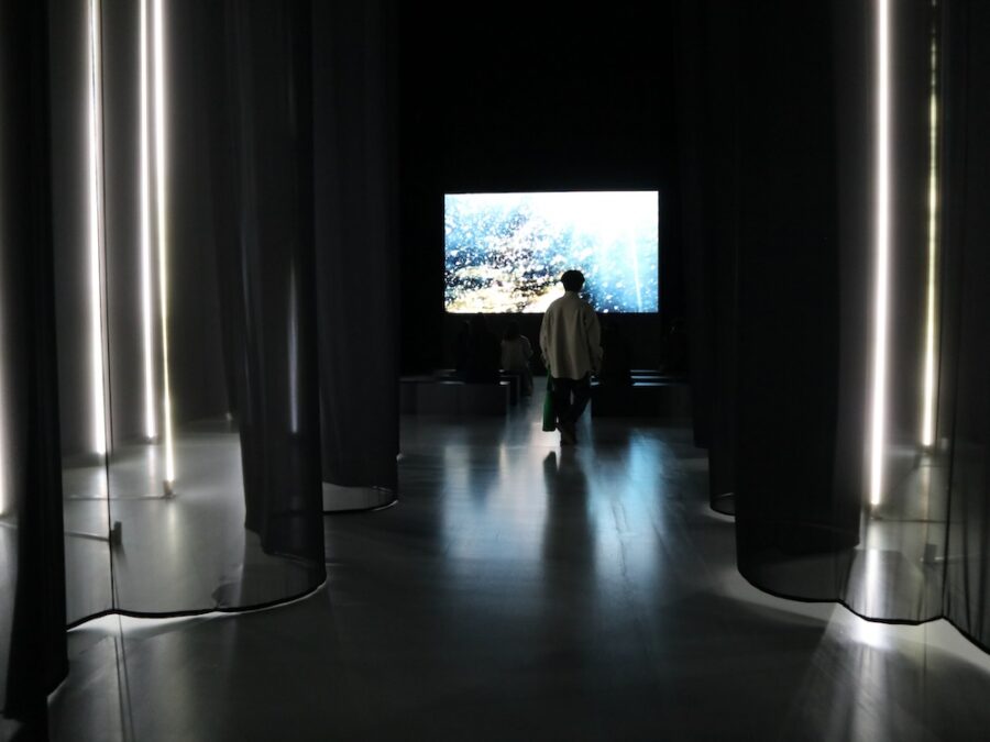 「TOKYO NODE」開館記念企画第2弾「蜷川実花展 Eternity in a Moment 瞬きの中の永遠」会場レポート - TECTURE MAG（テクチャーマガジン） | 空間 ...