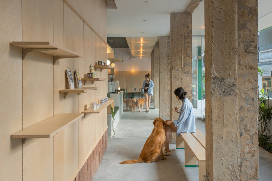 自然と建築が交わるペットフレンドリーな空間〈gogoland〉〈gogoland〉 - a pet-friendly space where nature and architecture ...