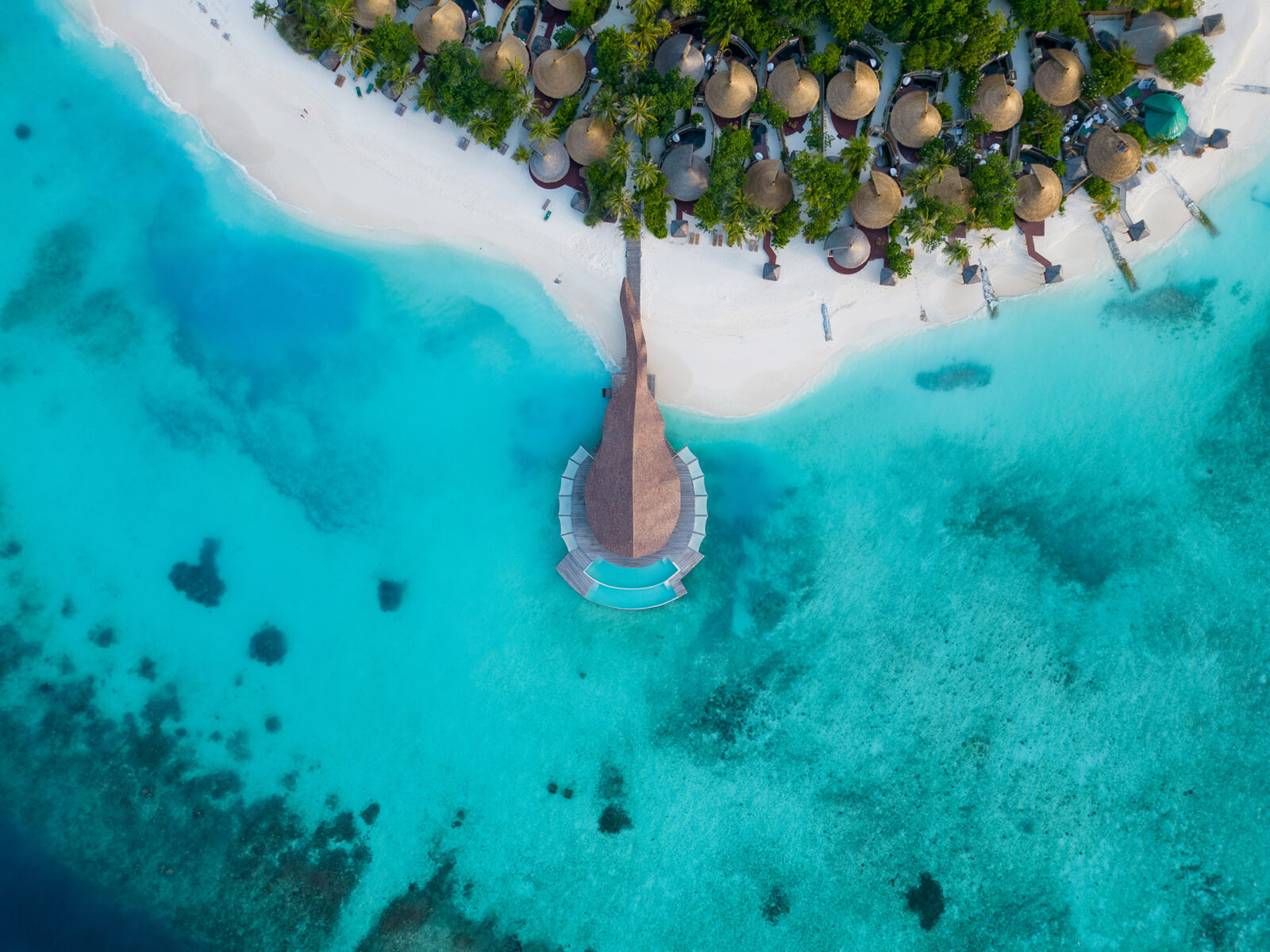 モルディブ近海を泳ぐエイのような 竹×水上レストラン〈Overwater Restaurant〉アトリエ・ノマディック - TECTURE ...