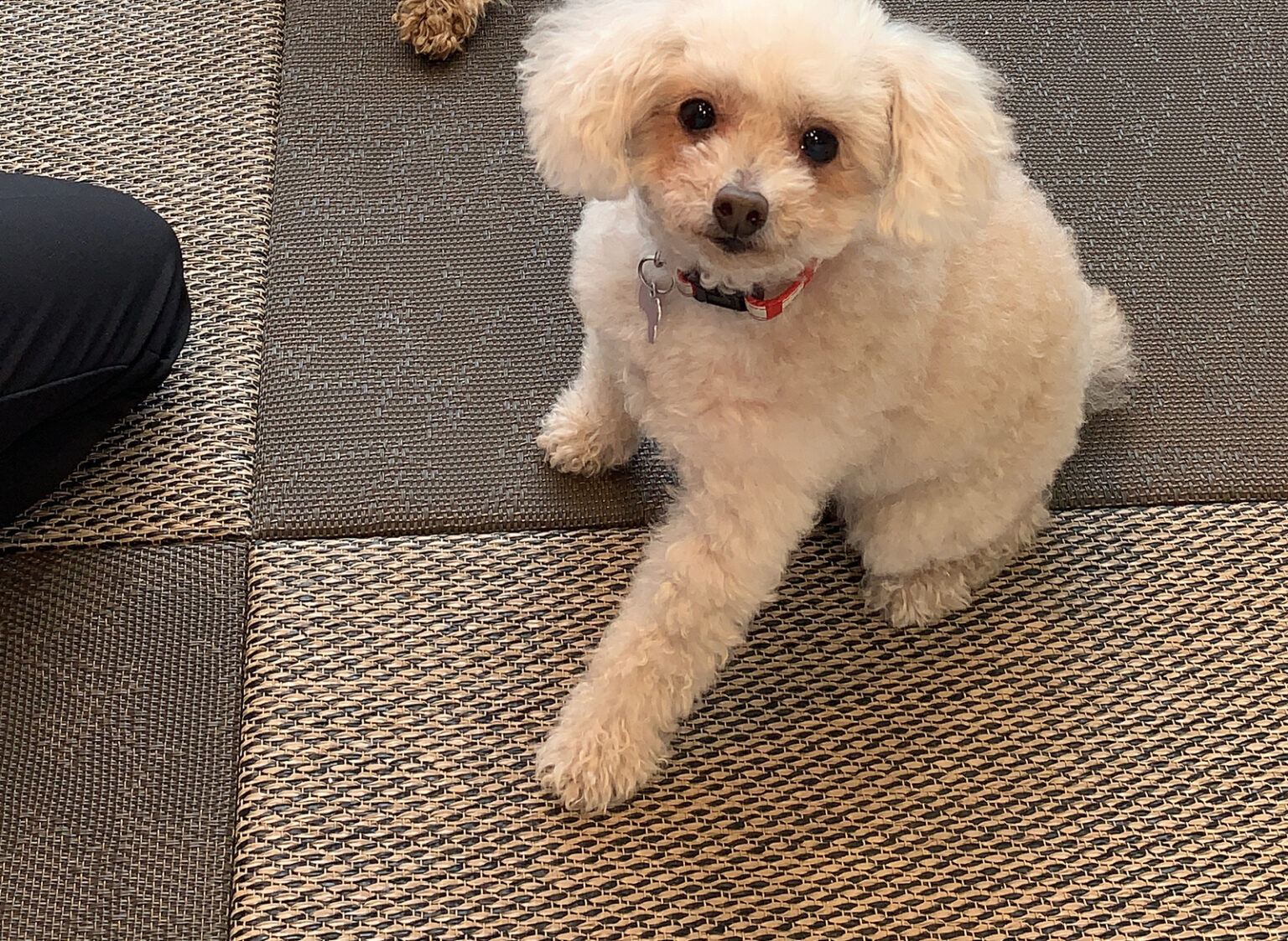 【プレスプラン】建材のADVANが提案する機能的で美しい床材 - TECTURE MAG（テクチャーマガジン） | 空間デザイン・建築メディア