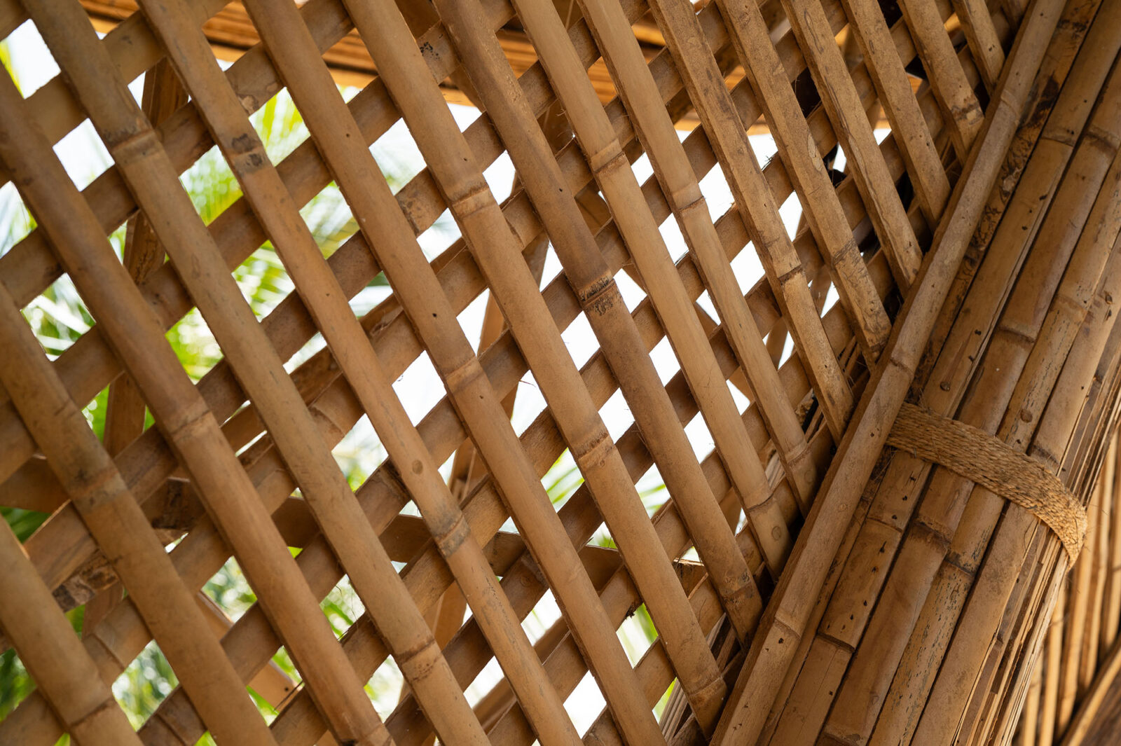 カリブ海のパノラマを望むパラメトリックな竹の天蓋〈Bamboo Temple〉Arquitectura Mixta、メキシコ - TECTURE MAG（テクチャーマガジン） | 空間デザイン ...
