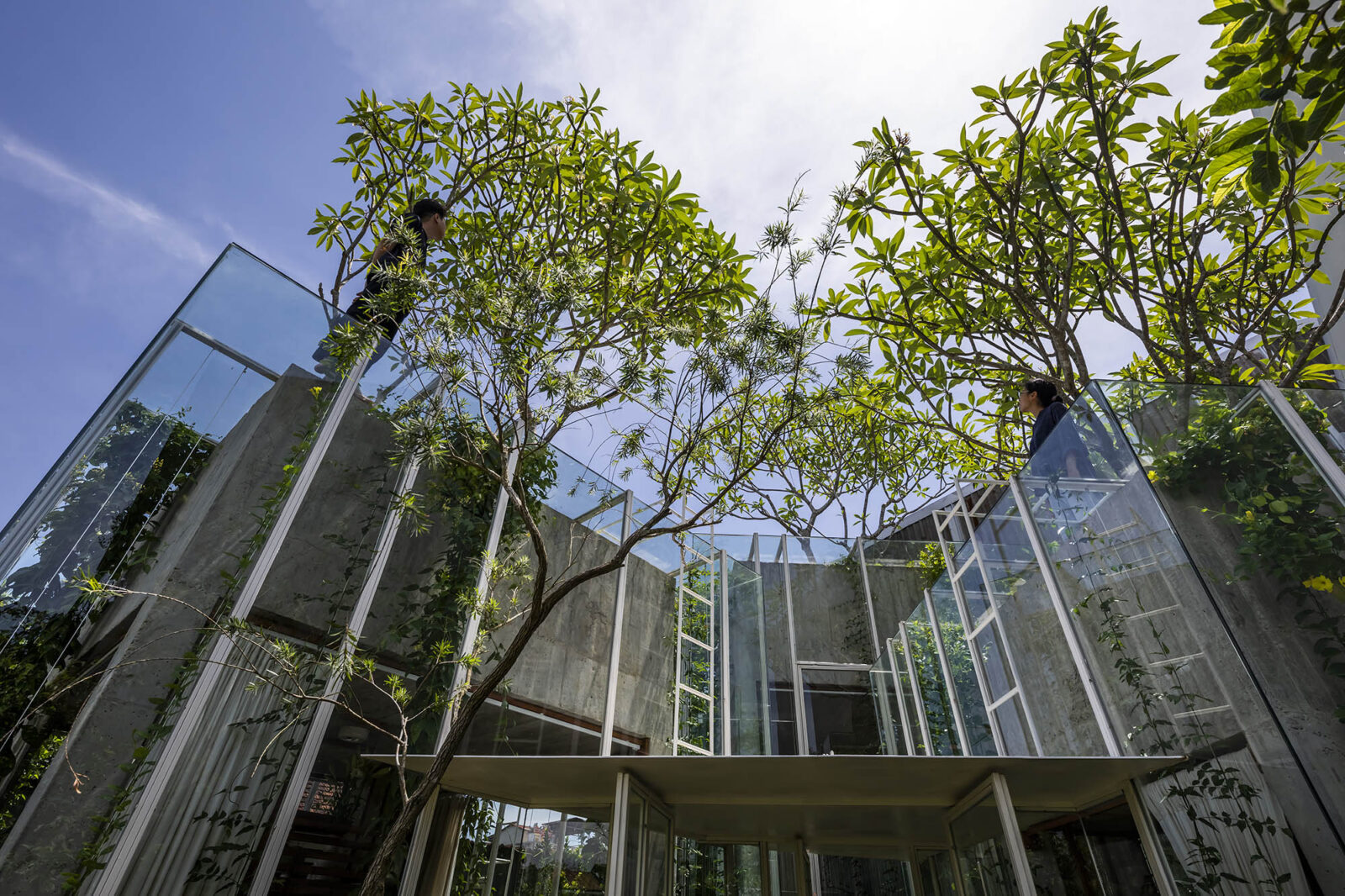 ベトナムの自然に溶け込みながら豊かに暮らす 緑に覆われたガラスの家〈Labri〉グエン・カイ・アーキテクツ＆アソシエイツ - TECTURE MAG（テクチャーマガジン） | 空間デザイン ...