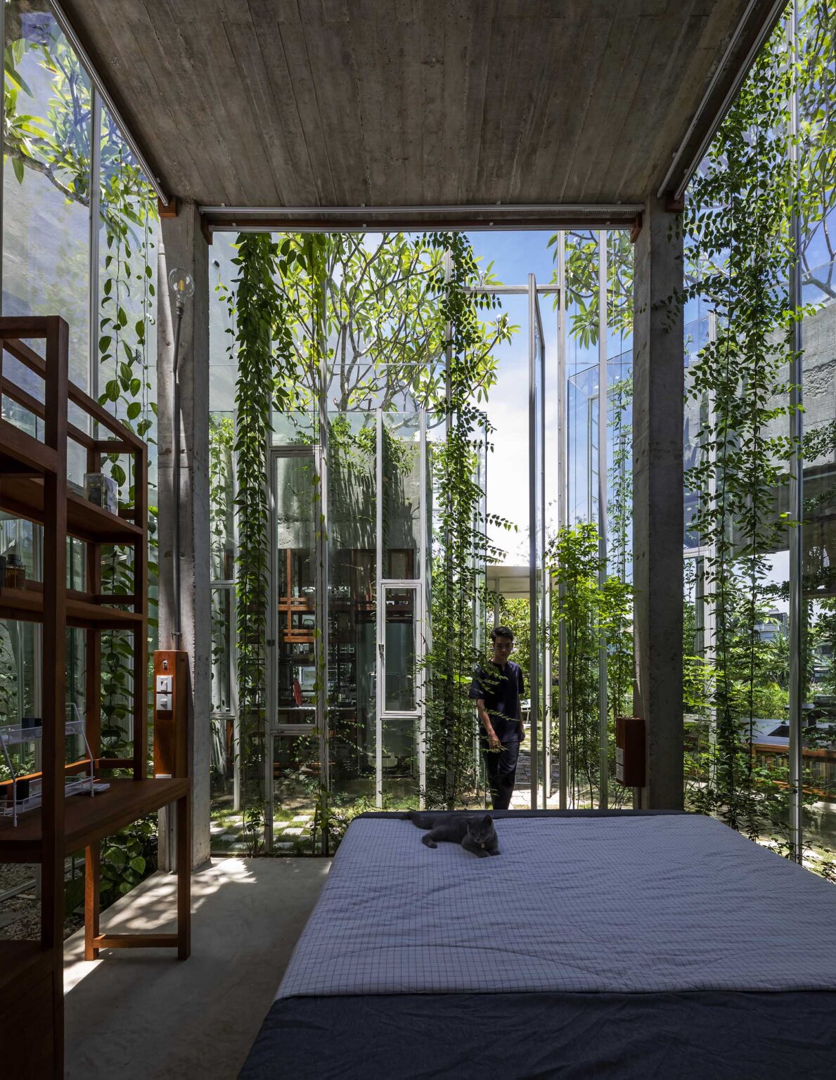 ベトナムの自然に溶け込みながら豊かに暮らす 緑に覆われたガラスの家〈Labri〉グエン・カイ・アーキテクツ＆アソシエイツ - TECTURE MAG（テクチャーマガジン） | 空間デザイン ...