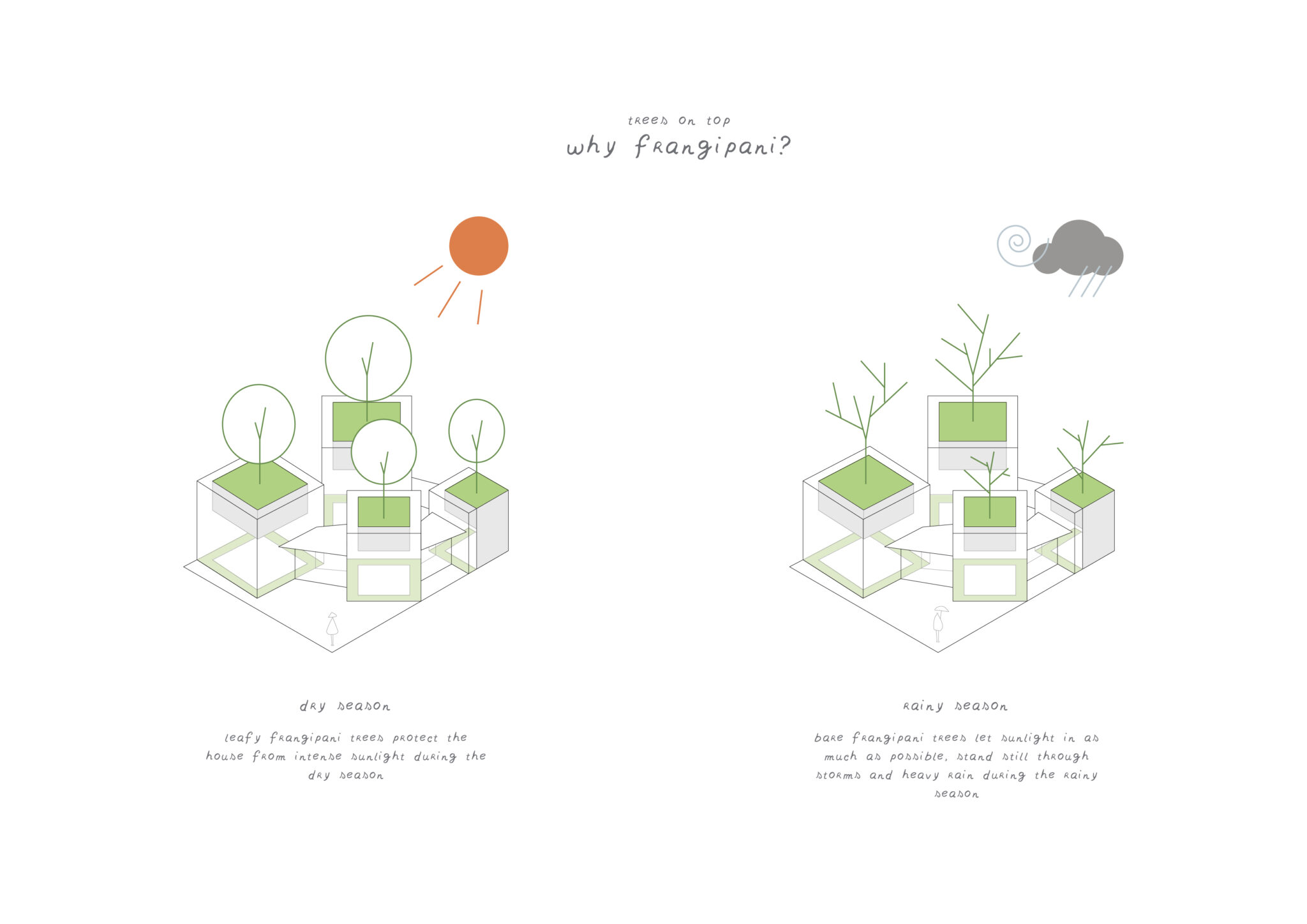 ベトナムの自然に溶け込みながら豊かに暮らす 緑に覆われたガラスの家〈Labri〉グエン・カイ・アーキテクツ＆アソシエイツ - TECTURE MAG（テクチャーマガジン） | 空間デザイン ...