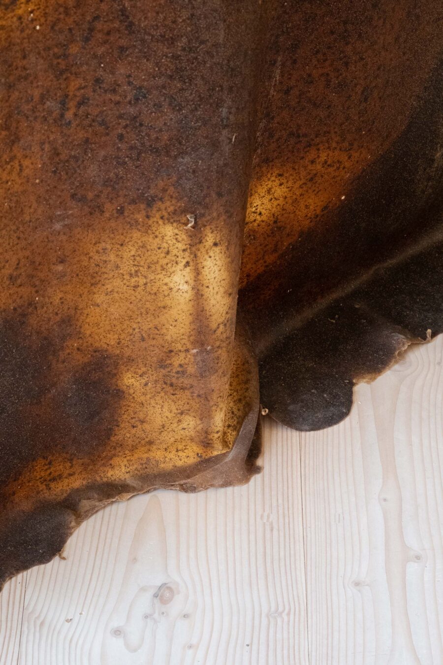 4つのバイオベースの新建材でつくるインスタレーション〈SMULD〉デンマーク、オフィス・キム・レンズショー、ナチュラル・マテリアル・スタジオ - TECTURE MAG（テクチャーマガジン ...