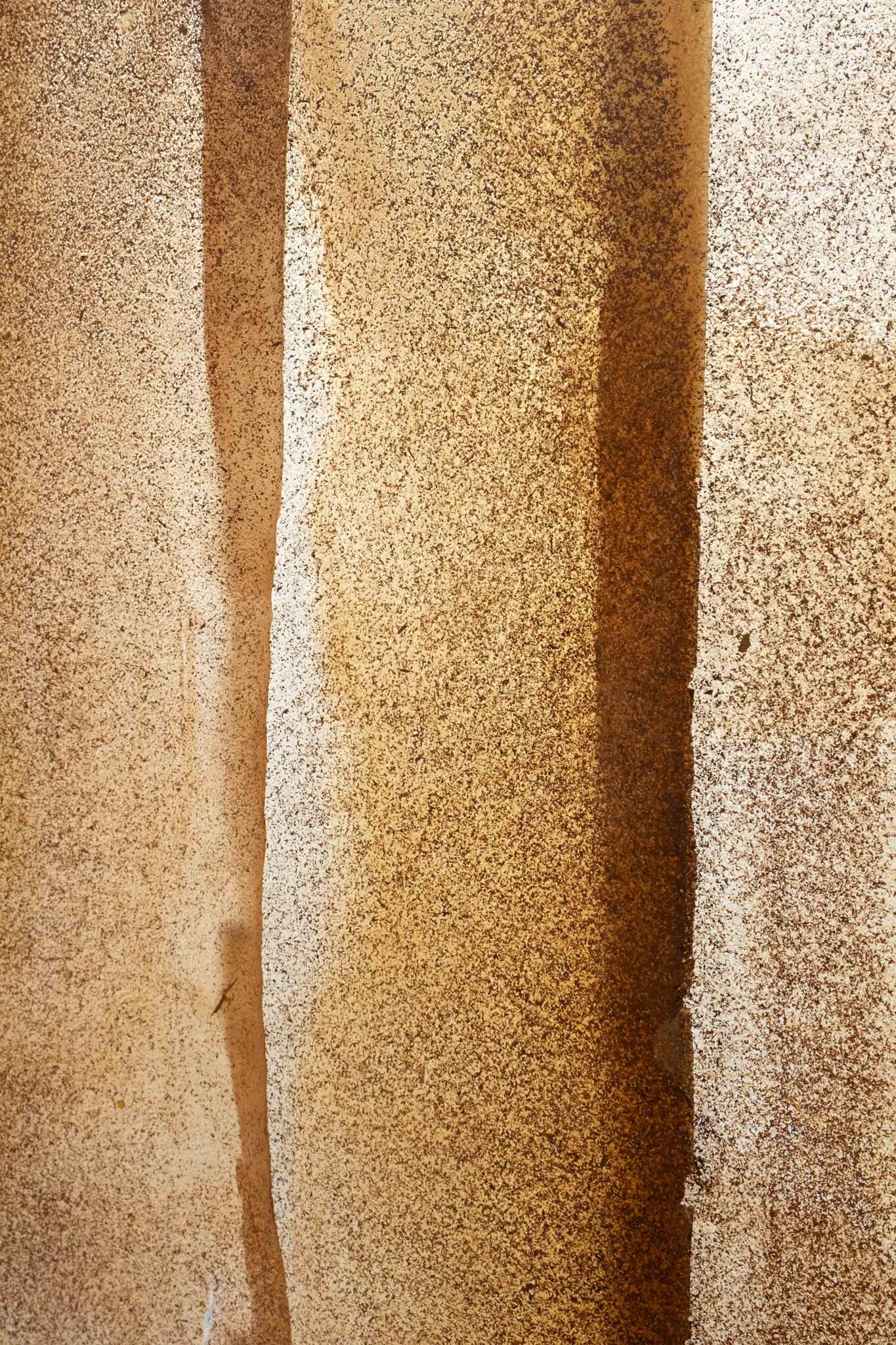 4つのバイオベースの新建材でつくるインスタレーション〈SMULD〉デンマーク、オフィス・キム・レンズショー、ナチュラル・マテリアル・スタジオ - TECTURE MAG（テクチャーマガジン ...