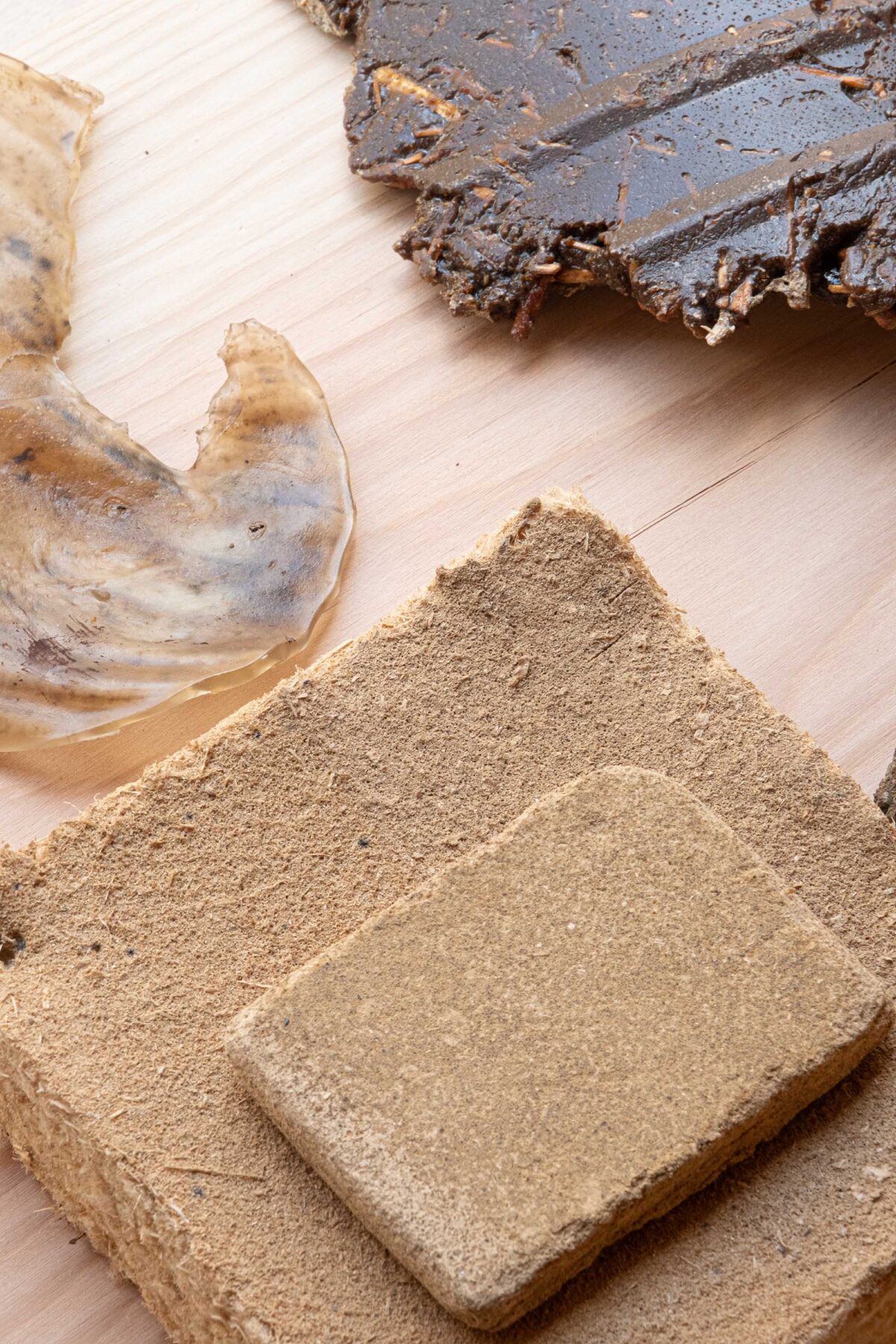 4つのバイオベースの新建材でつくるインスタレーション〈SMULD〉デンマーク、オフィス・キム・レンズショー、ナチュラル・マテリアル・スタジオ - TECTURE MAG（テクチャーマガジン ...