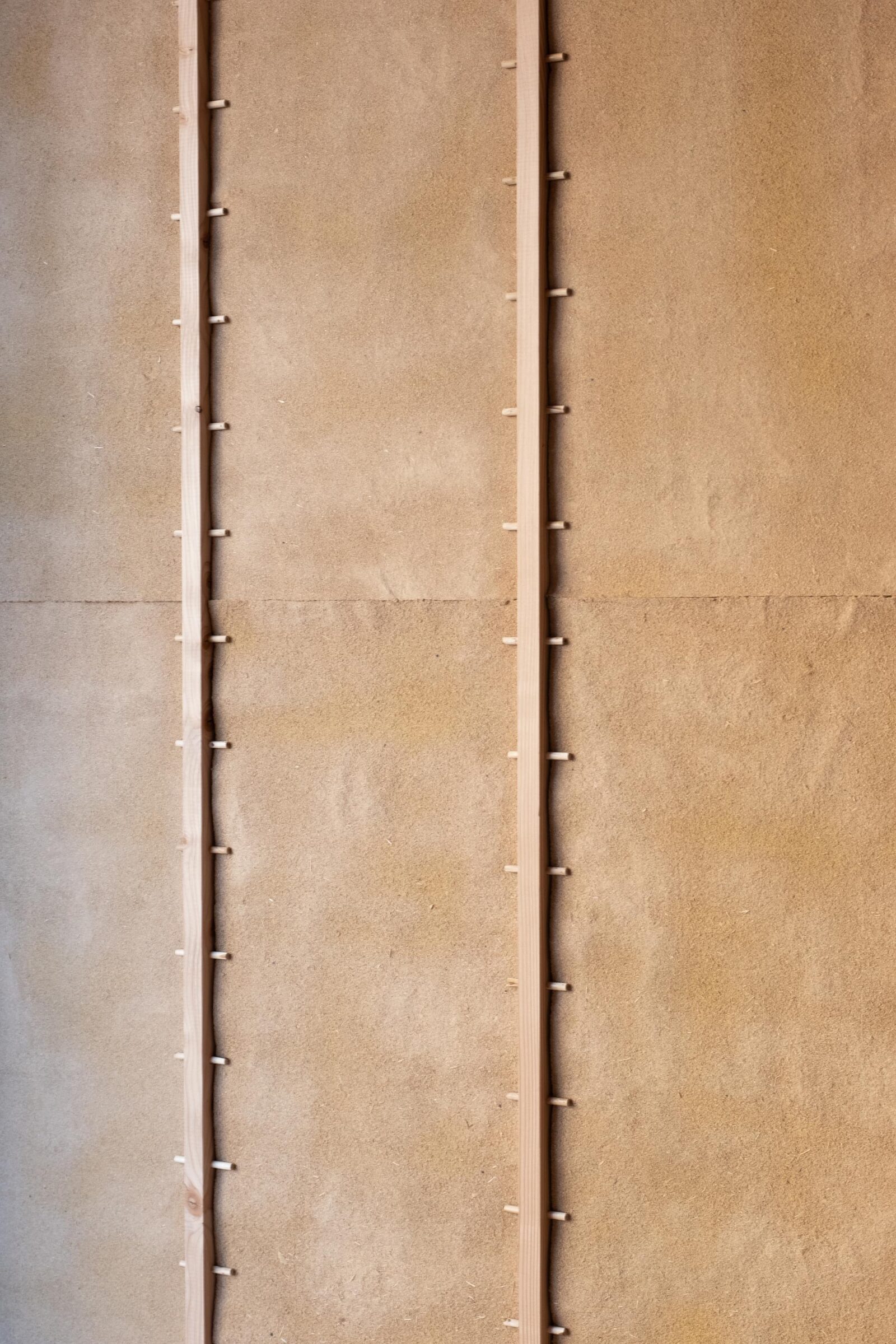 4つのバイオベースの新建材でつくるインスタレーション〈SMULD〉デンマーク、オフィス・キム・レンズショー、ナチュラル・マテリアル・スタジオ - TECTURE MAG（テクチャーマガジン ...