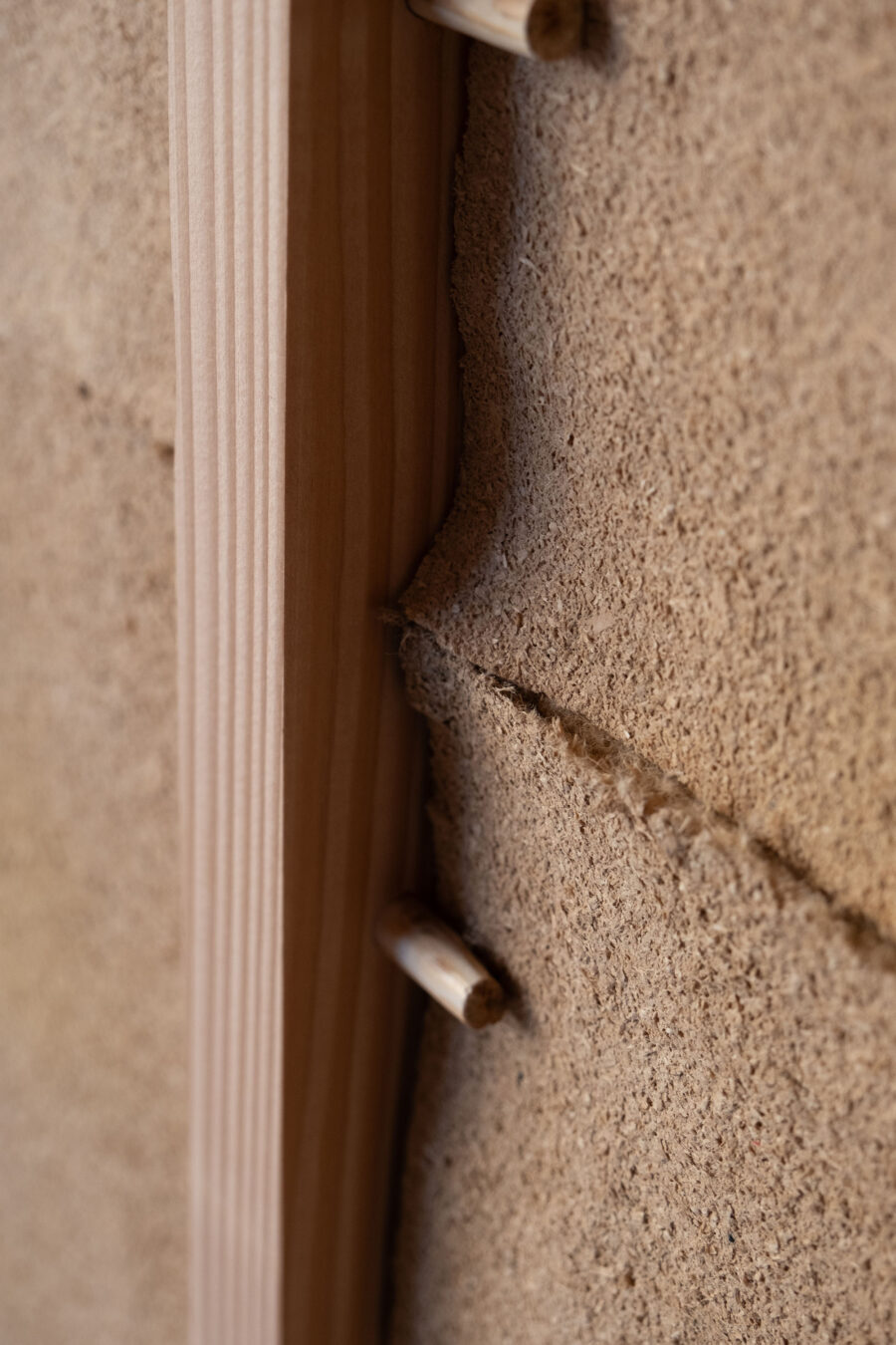 4つのバイオベースの新建材でつくるインスタレーション〈SMULD〉デンマーク、オフィス・キム・レンズショー、ナチュラル・マテリアル・スタジオ - TECTURE MAG（テクチャーマガジン ...