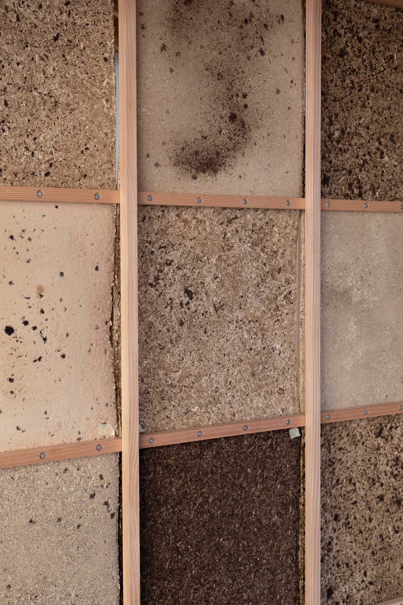 4つのバイオベースの新建材でつくるインスタレーション〈SMULD〉デンマーク、オフィス・キム・レンズショー、ナチュラル・マテリアル・スタジオ - TECTURE MAG（テクチャーマガジン ...