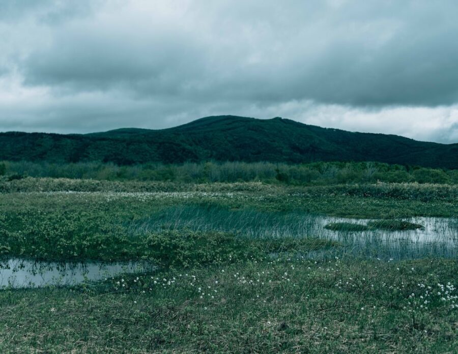 「THE ROOM OF（IN）SCENTS」：LGS（軽量鉄骨）による空間と写真作品でフレグランスのシーズンコレクションの香りの奥行きを伝える移動式・体験型インスタレーション ...