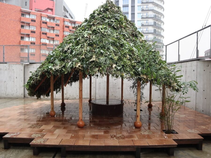 TOTOギャラリー・間「大西麻貴＋百田有希 / o+h展：⽣きた全体——A Living Whole」会場レポート - TECTURE MAG（テクチャーマガジン） | 空間デザイン・建築メディア