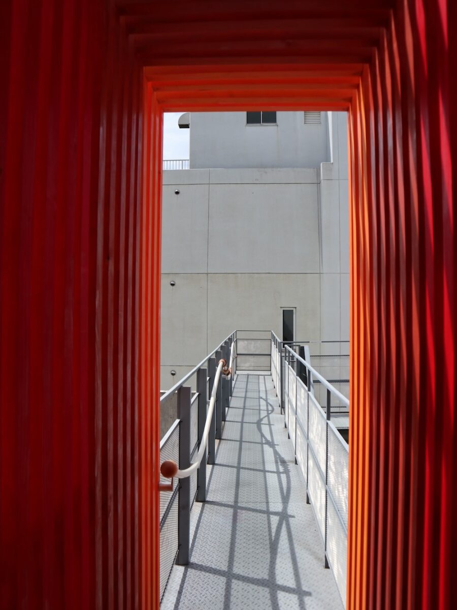 TOTOギャラリー・間「大西麻貴＋百田有希 / o+h展：⽣きた全体——A Living Whole」会場レポート - TECTURE MAG（テクチャーマガジン） | 空間デザイン・建築メディア