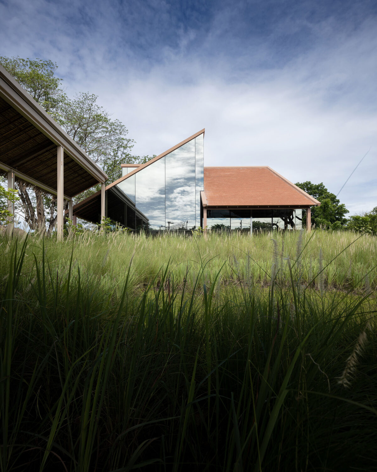 タイのオーガニックブランドの村に建つ、トレーサビリティを体現するランドマーク〈パトム・カフェ〉NITAPROW - TECTURE MAG（テクチャーマガジン） | 空間デザイン・建築メディア