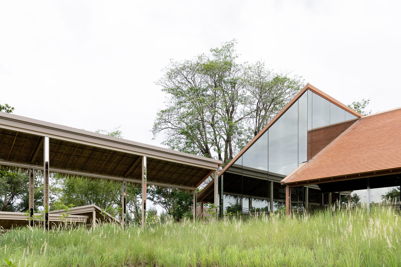 タイのオーガニックブランドの村に建つ、トレーサビリティを体現するランドマーク〈パトム・カフェ〉NITAPROW - TECTURE MAG（テクチャーマガジン） | 空間デザイン・建築メディア