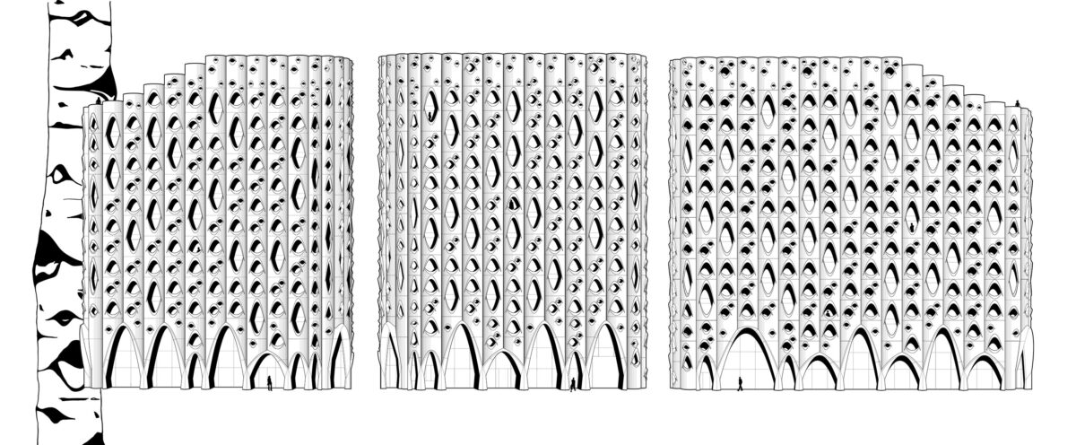 アメリカ・コロラド州の中心街に際立つポプラの木立モチーフのホテル〈Populus〉スタジオ・ギャング - TECTURE MAG（テクチャーマガジン） | 空間デザイン・建築メディア