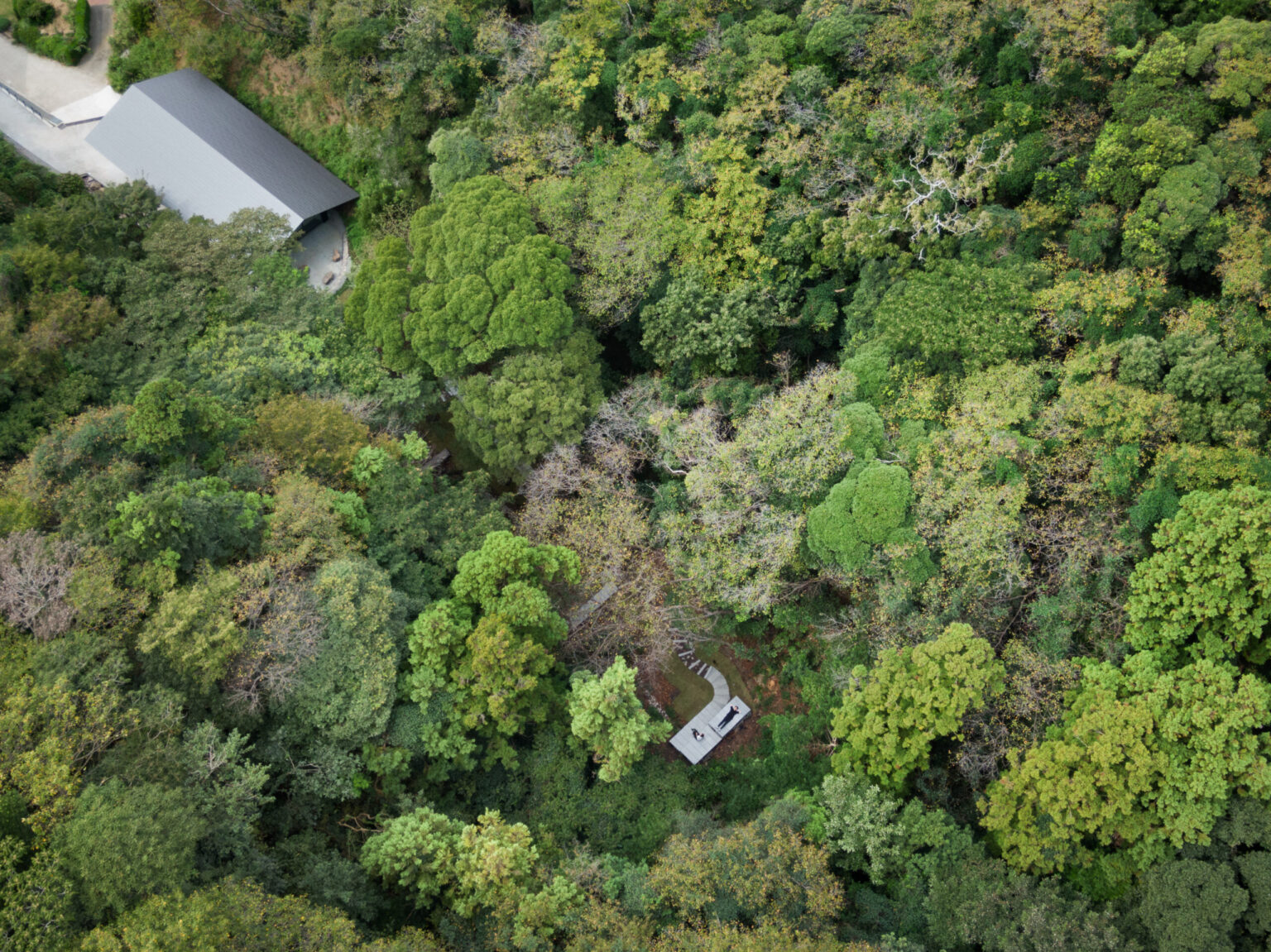 [Interview]神谷修平：PLACELESS－普遍的な個別解－1/2 - TECTURE MAG（テクチャーマガジン） | 空間デザイン・建築メディア