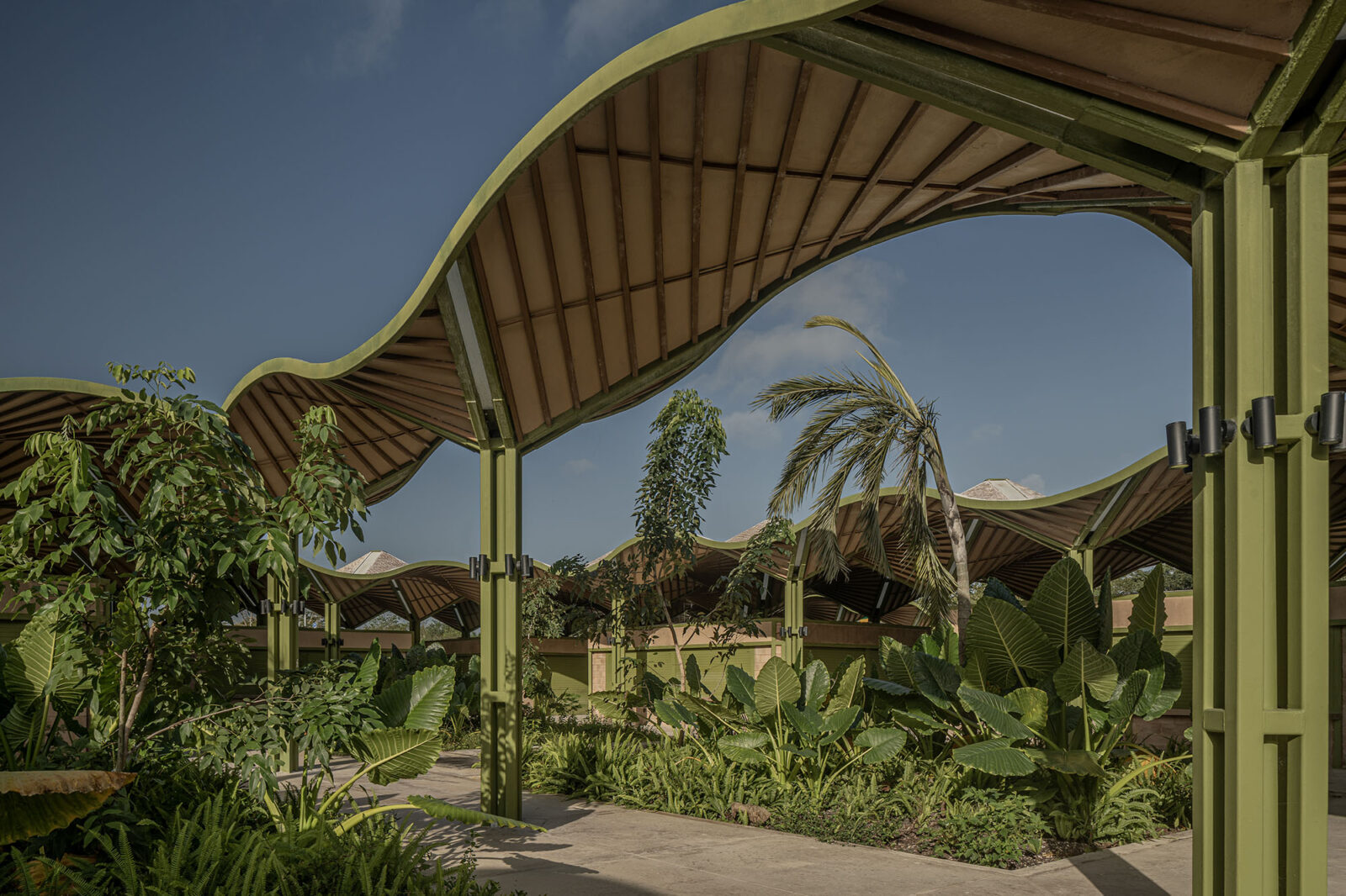 “逆さの傘”がグリッド状に連続する曲面屋根〈ニコラス・ブラボ市場〉Mercado Nicolas Bravo、メキシコ - TECTURE MAG（テクチャーマガジン） | 空間デザイン・建築メディア