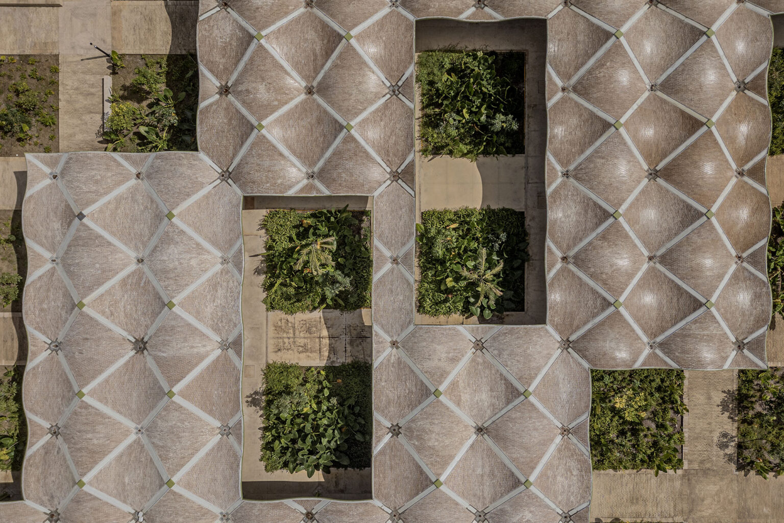 “逆さの傘”がグリッド状に連続する曲面屋根〈ニコラス・ブラボ市場〉Mercado Nicolas Bravo、メキシコ - TECTURE MAG（テクチャーマガジン） | 空間デザイン・建築メディア