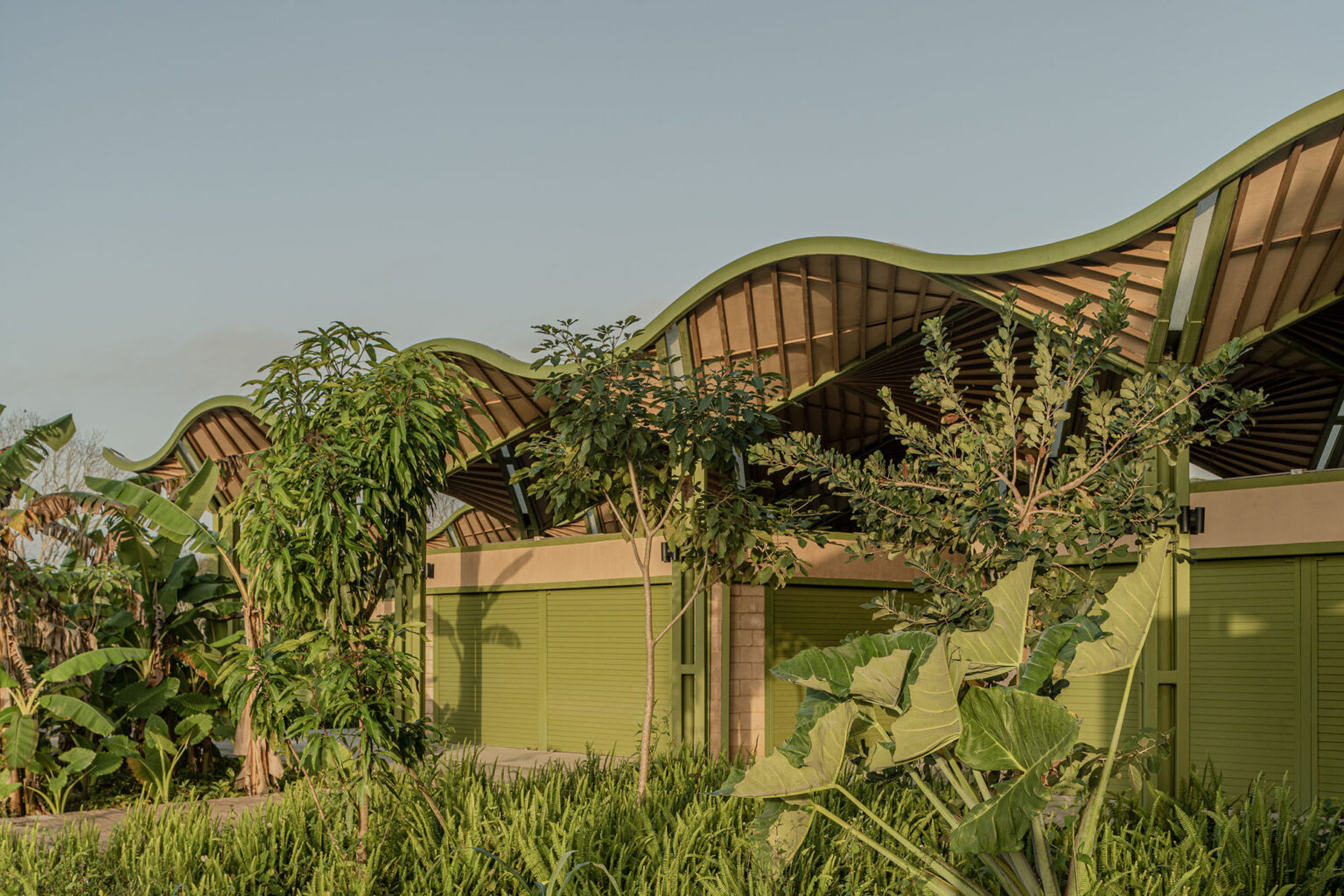 “逆さの傘”がグリッド状に連続する曲面屋根〈ニコラス・ブラボ市場〉Mercado Nicolas Bravo、メキシコ - TECTURE MAG（テクチャーマガジン） | 空間デザイン・建築メディア