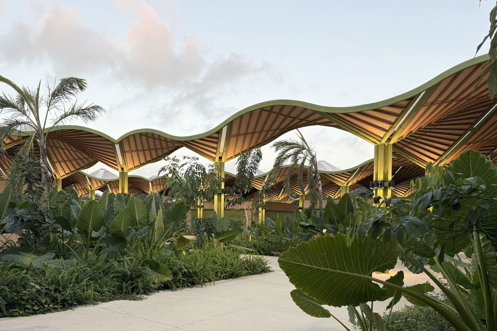 “逆さの傘”がグリッド状に連続する曲面屋根〈ニコラス・ブラボ市場〉Mercado Nicolas Bravo、メキシコ - TECTURE MAG（テクチャーマガジン） | 空間デザイン・建築メディア