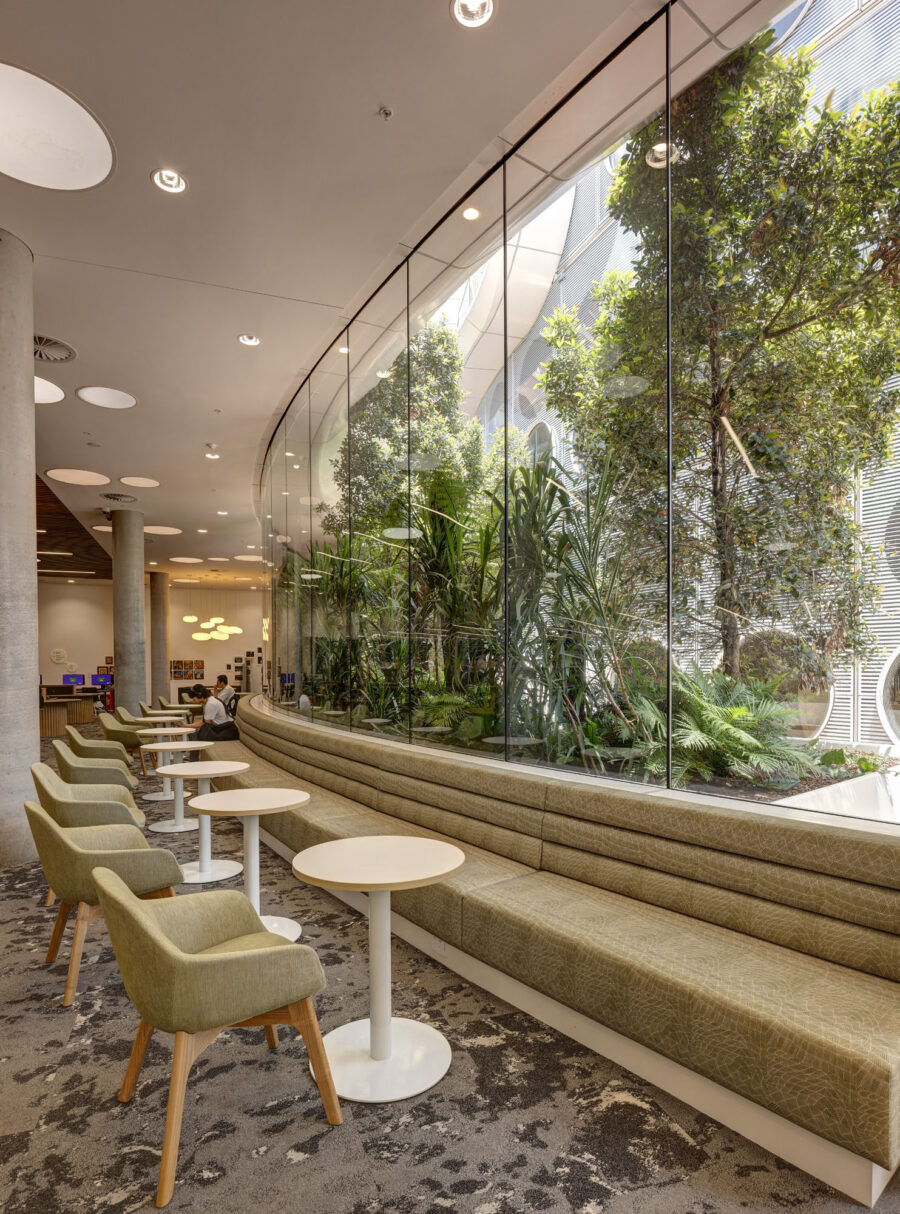 すべての人々にひらく楕円の図書館〈イェラムンディ図書館〉fjcstudio、オーストラリア - TECTURE MAG（テクチャーマガジン） | 空間デザイン・建築メディア