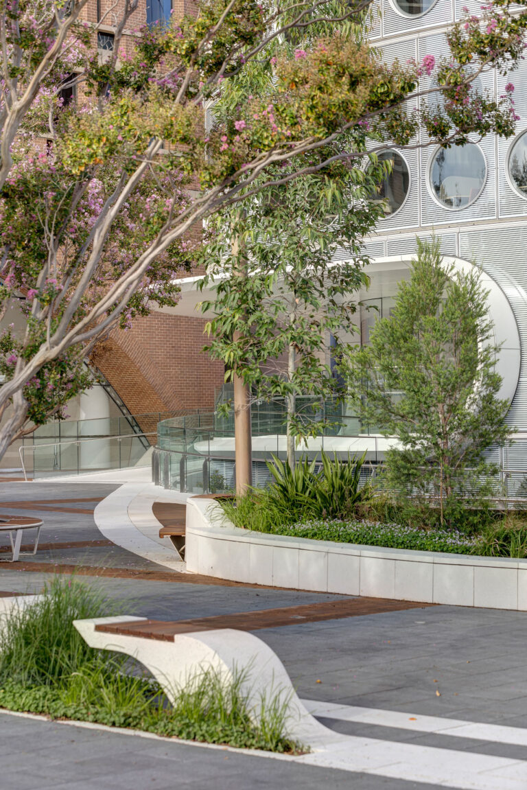 すべての人々にひらく楕円の図書館〈イェラムンディ図書館〉fjcstudio、オーストラリア - TECTURE MAG（テクチャーマガジン） | 空間デザイン・建築メディア