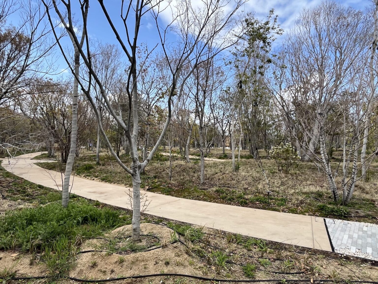 [Interview]五十嵐太郎流｜SNS時代の万博の見方・楽しみ方 - TECTURE MAG（テクチャーマガジン） | 空間デザイン・建築メディア