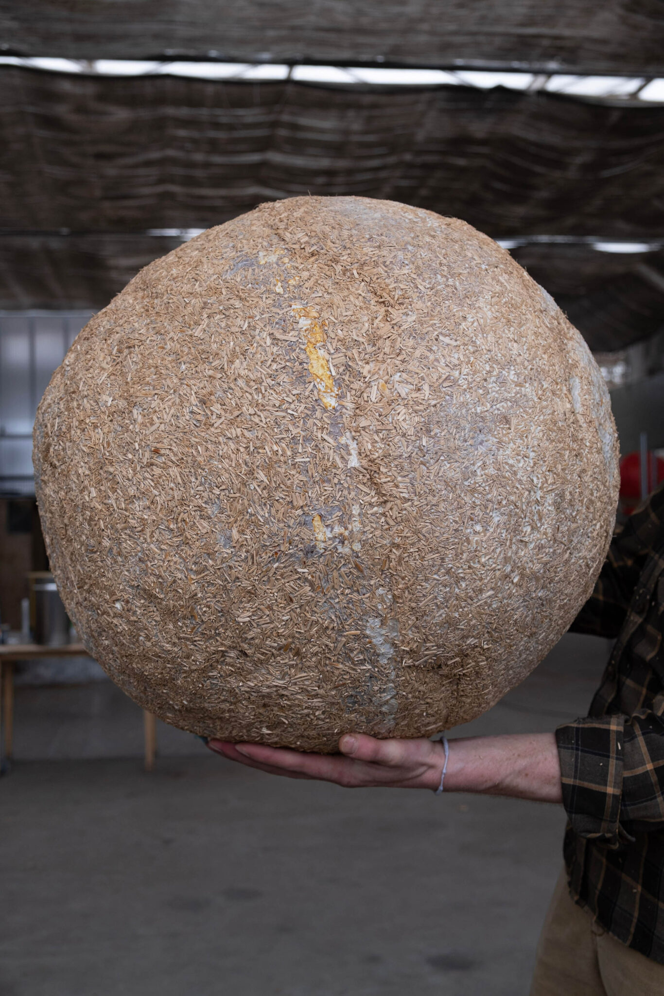 ヘニング・ラーセンがミラノデザインウィーク2025で発表した、菌糸の球体が浮かぶパビリオン〈Growing Matter(s)〉 - TECTURE MAG（テクチャーマガジン） | 空間 ...