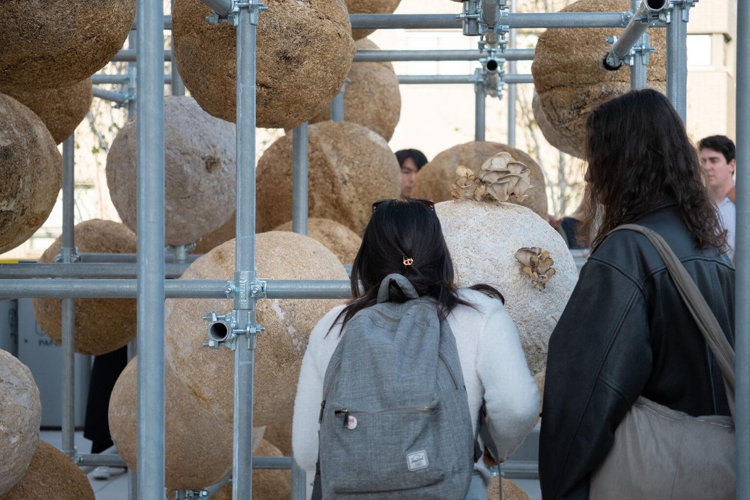 ヘニング・ラーセンがミラノデザインウィーク2025で発表した、菌糸の球体が浮かぶパビリオン〈Growing Matter(s)〉 - TECTURE MAG（テクチャーマガジン） | 空間 ...