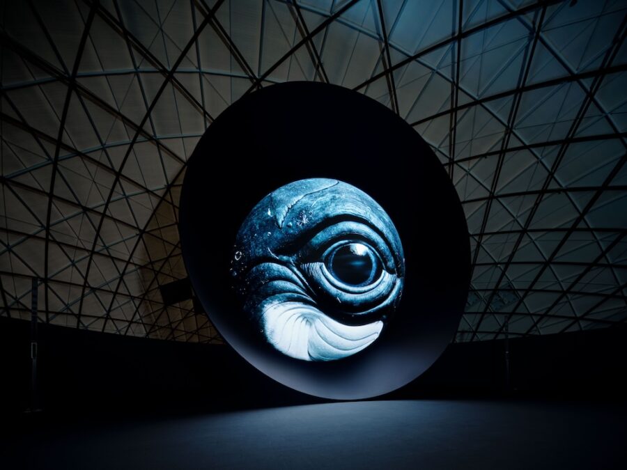 [Report] 大阪・関西万博で見るべきパビリオン：坂 茂 設計 × 原 研哉 展示企画による、海洋問題を啓発する〈ブルーオーシャンドーム〉 - TECTURE MAG（テクチャーマガジン ...