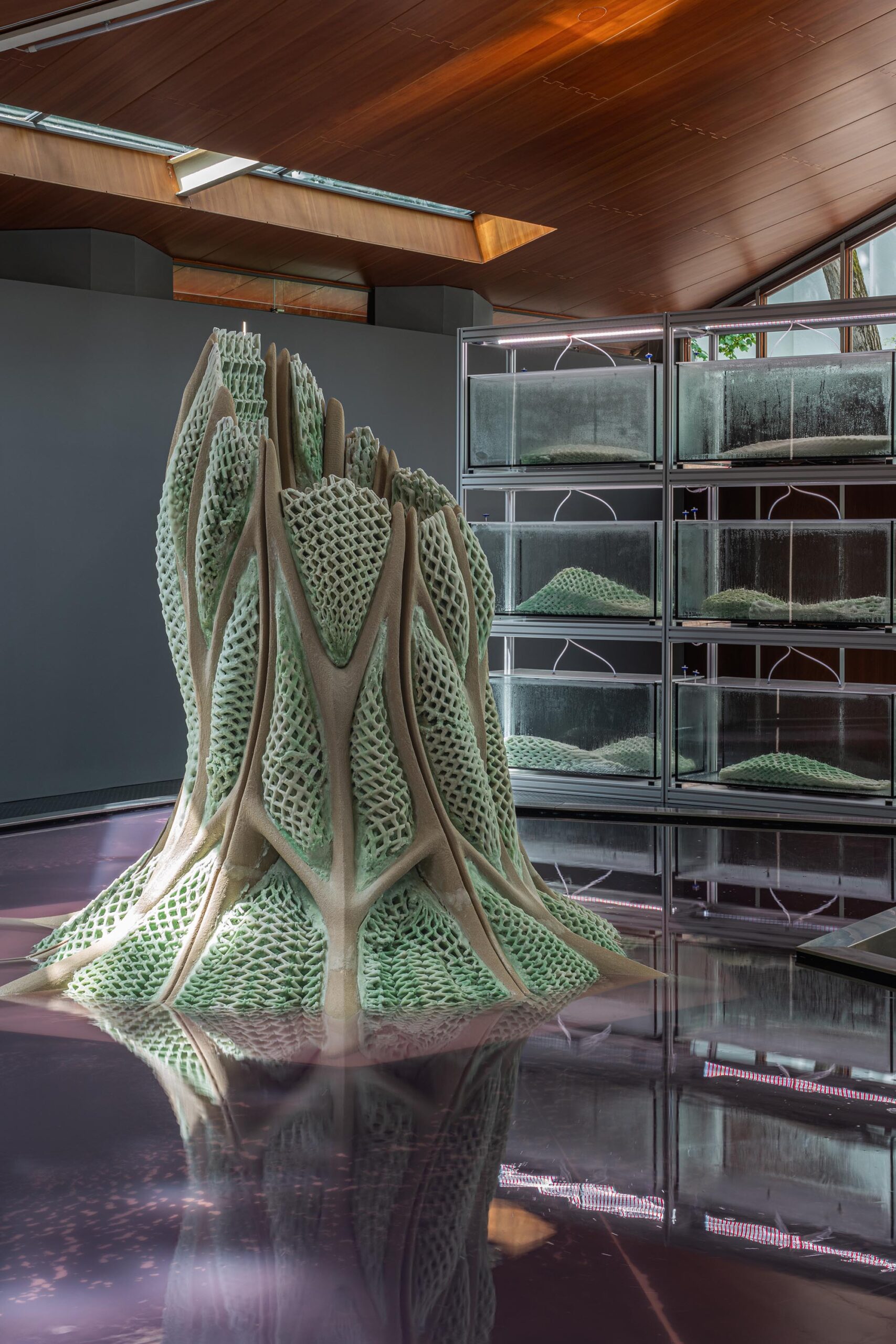 世界最大級の生きた3Dプリント構造体「ピコプランクトニクス」リビングルーム・コレクティブ、第19回ヴェネツィア・ビエンナーレ国際建築展 - TECTURE MAG（テクチャーマガジン ...