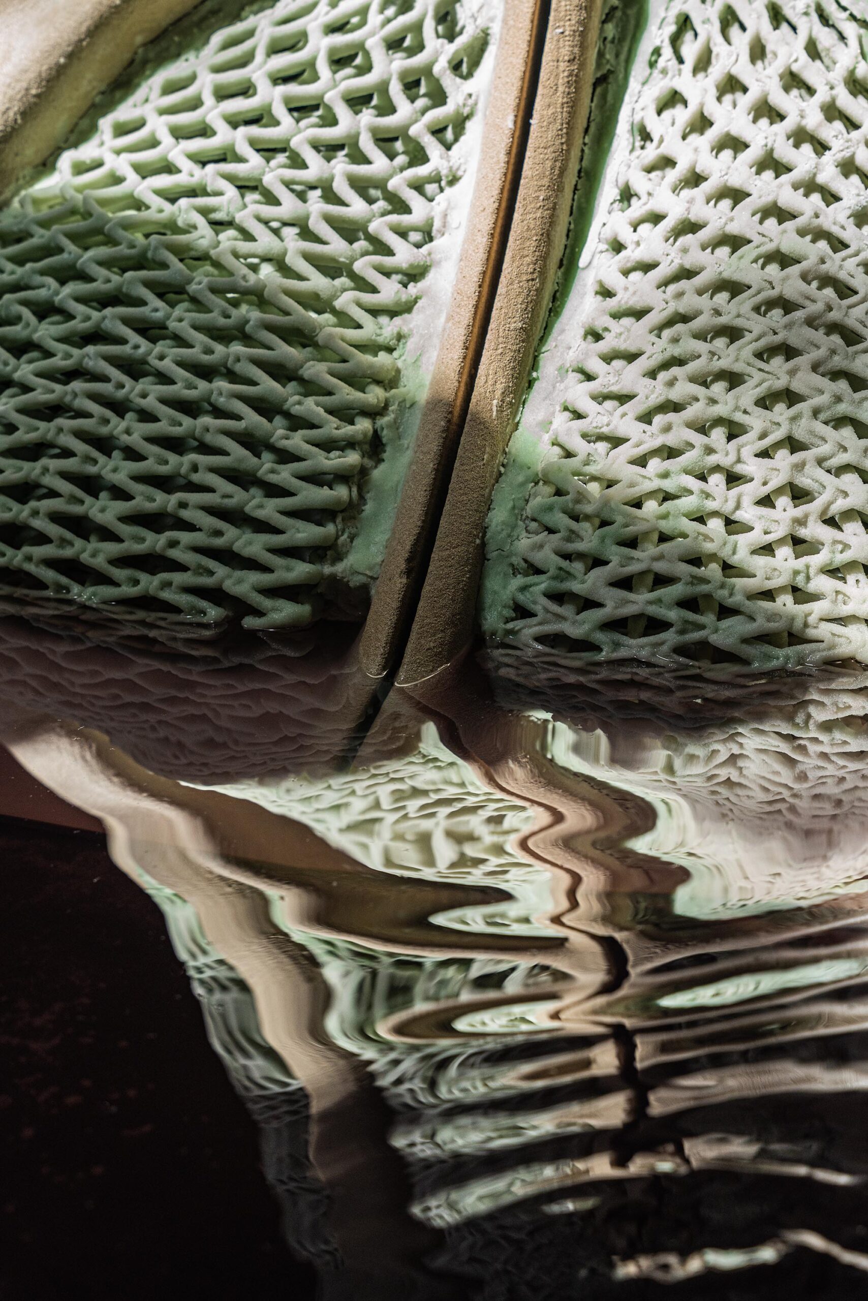 世界最大級の生きた3Dプリント構造体「ピコプランクトニクス」リビングルーム・コレクティブ、第19回ヴェネツィア・ビエンナーレ国際建築展 - TECTURE MAG（テクチャーマガジン ...