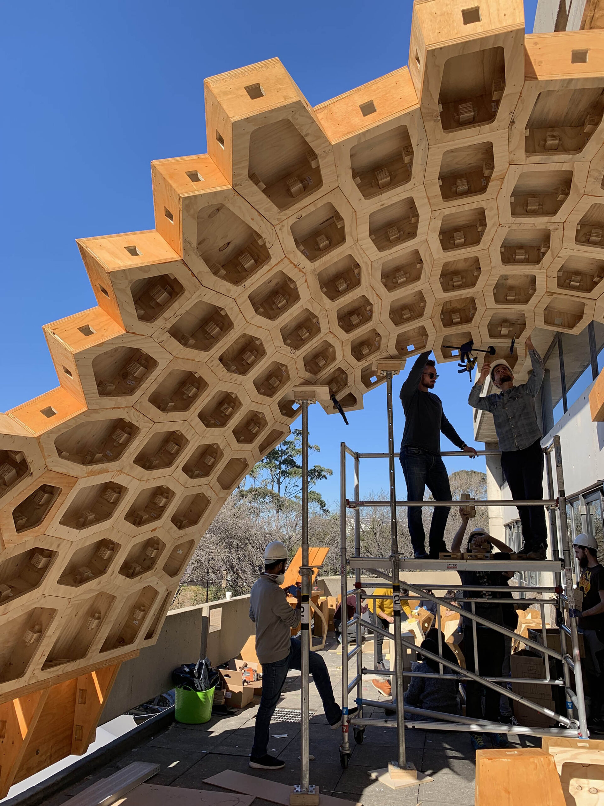 くさび接合の可能性を拡げる曲面屋根〈HexBox Canopy〉DTC、Code-To-Production - TECTURE MAG（テクチャーマガジン） | 空間デザイン・建築メディア