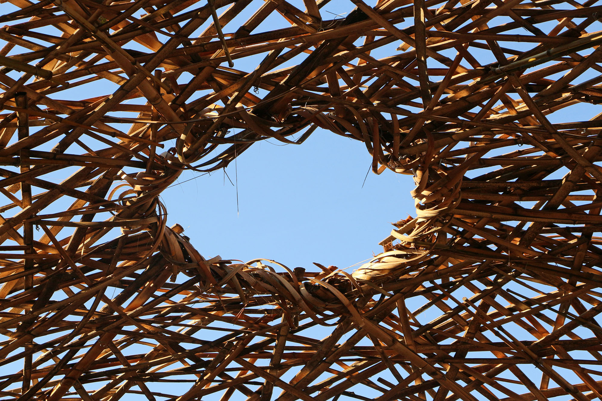 竹で編まれた循環型パビリオン〈Chrysalis〉ケイブ・アーバン、オーストラリア - TECTURE MAG（テクチャーマガジン） | 空間デザイン・建築メディア