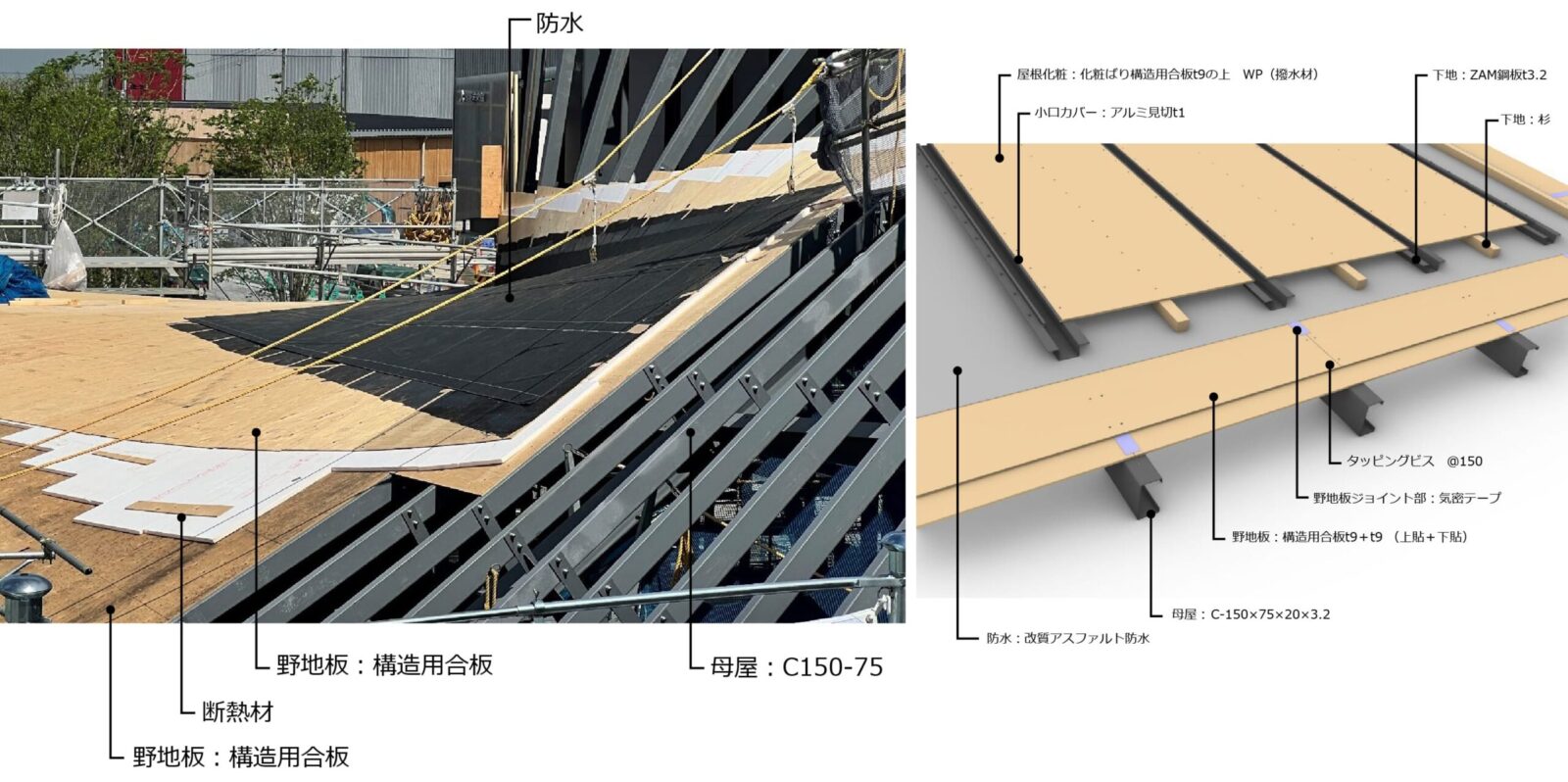 [大阪・関西万博 Interview]〈住友館〉/ 日建設計：HP曲面＋ヒノキ合板による“新しい木質建築” - TECTURE MAG（テクチャーマガジン） | 空間デザイン・建築メディア