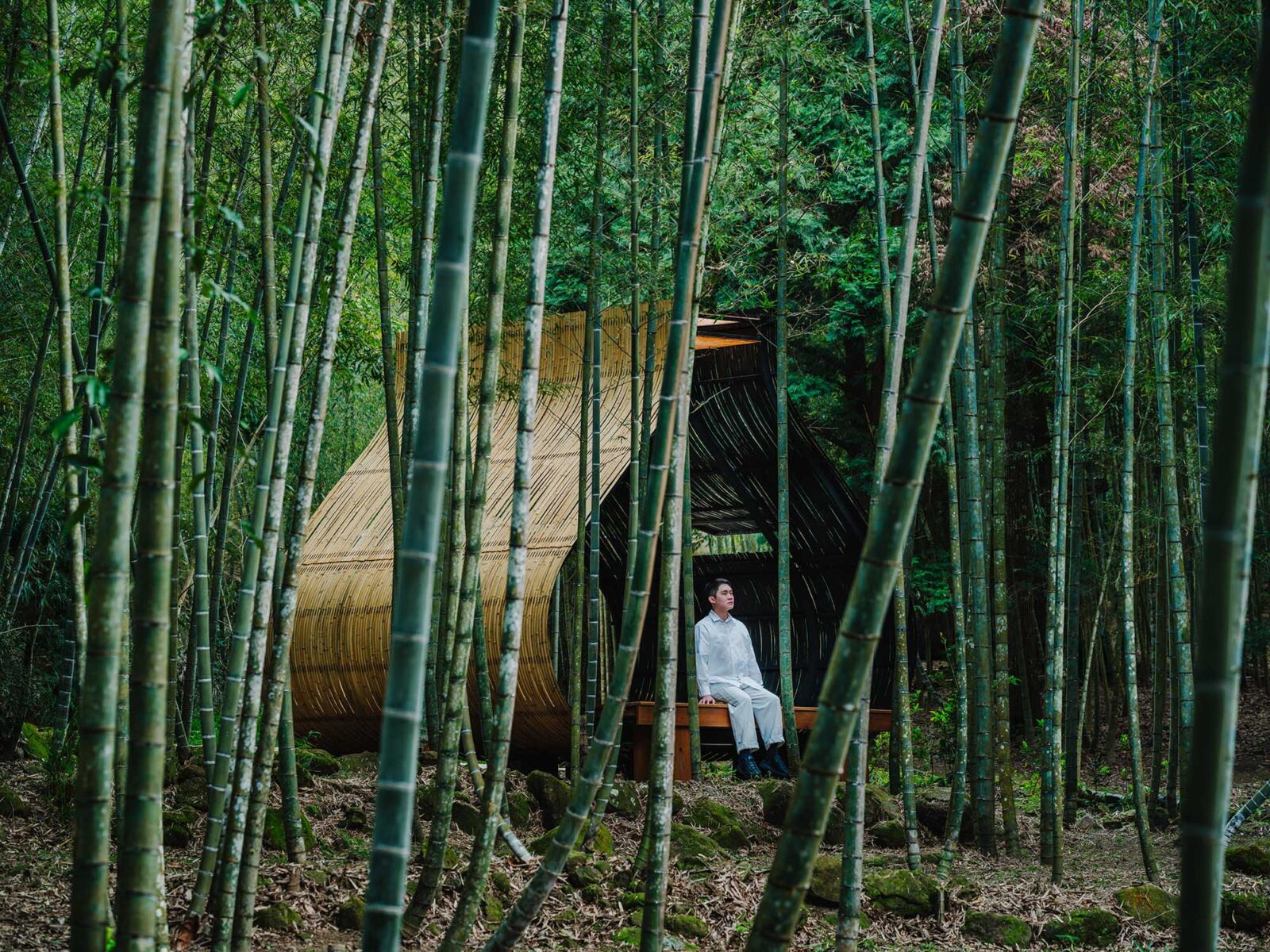 台湾の竹林に現れる 竹の帯に包まれた休憩所〈Bamboo Cabin Plan: Sticky Rice Dumpling〉チェン・ツン・フェン、中国 - TECTURE MAG（テクチャー ...